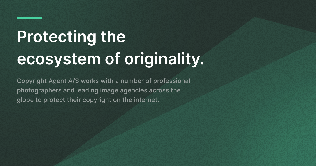 Visual Rights Group — Resolve your case